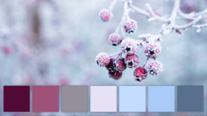 Winter Colors: Embrace These Stunning Colors for a New Look!