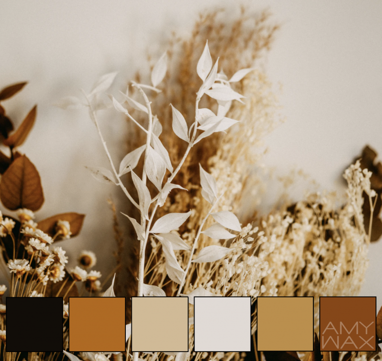 Nature's Color Palettes: Looking to our Planet for Color-Inspiration!