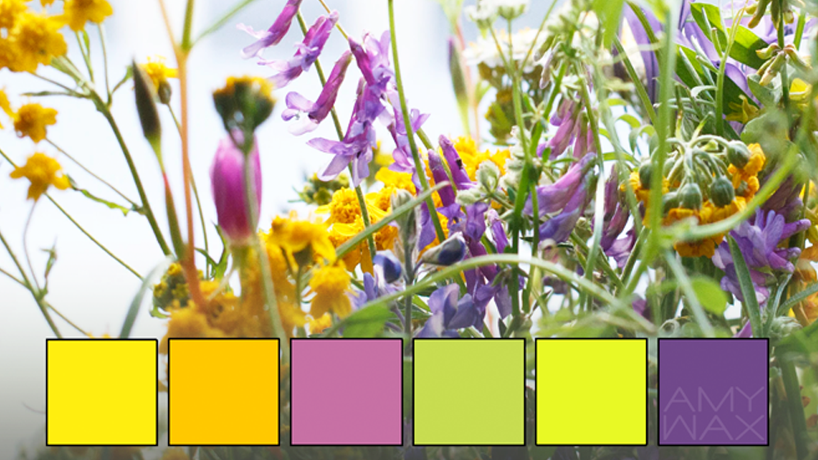 Summer Solstice Celebration: Cherishing the Colors of Midsummer! - Amy Wax