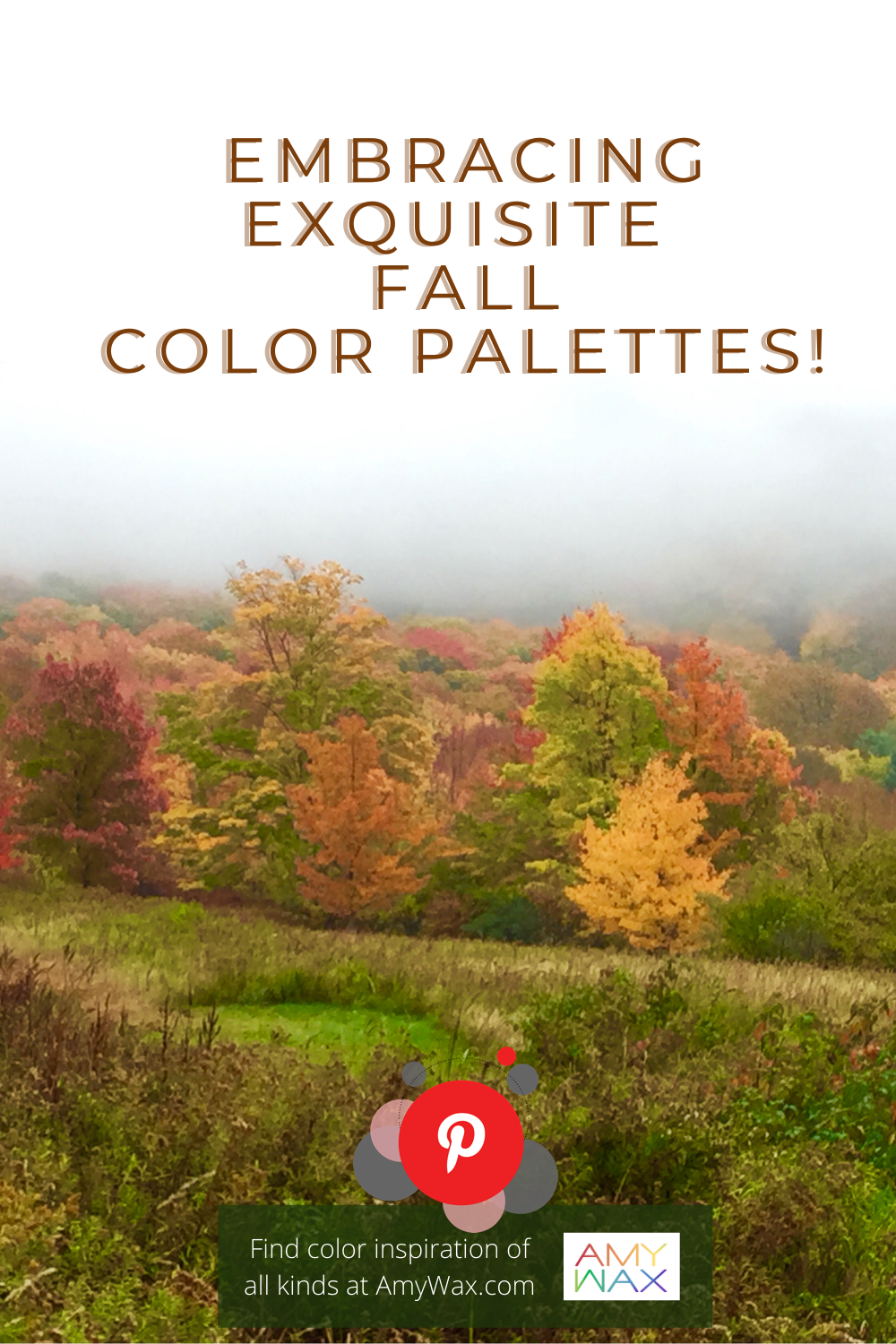 Embracing Exquisite Fall Color Palettes!