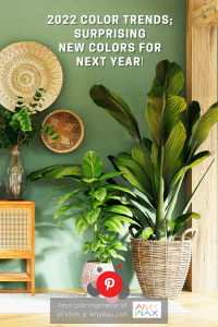 2022 Color Trends; Surprising New Colors for Next Year!