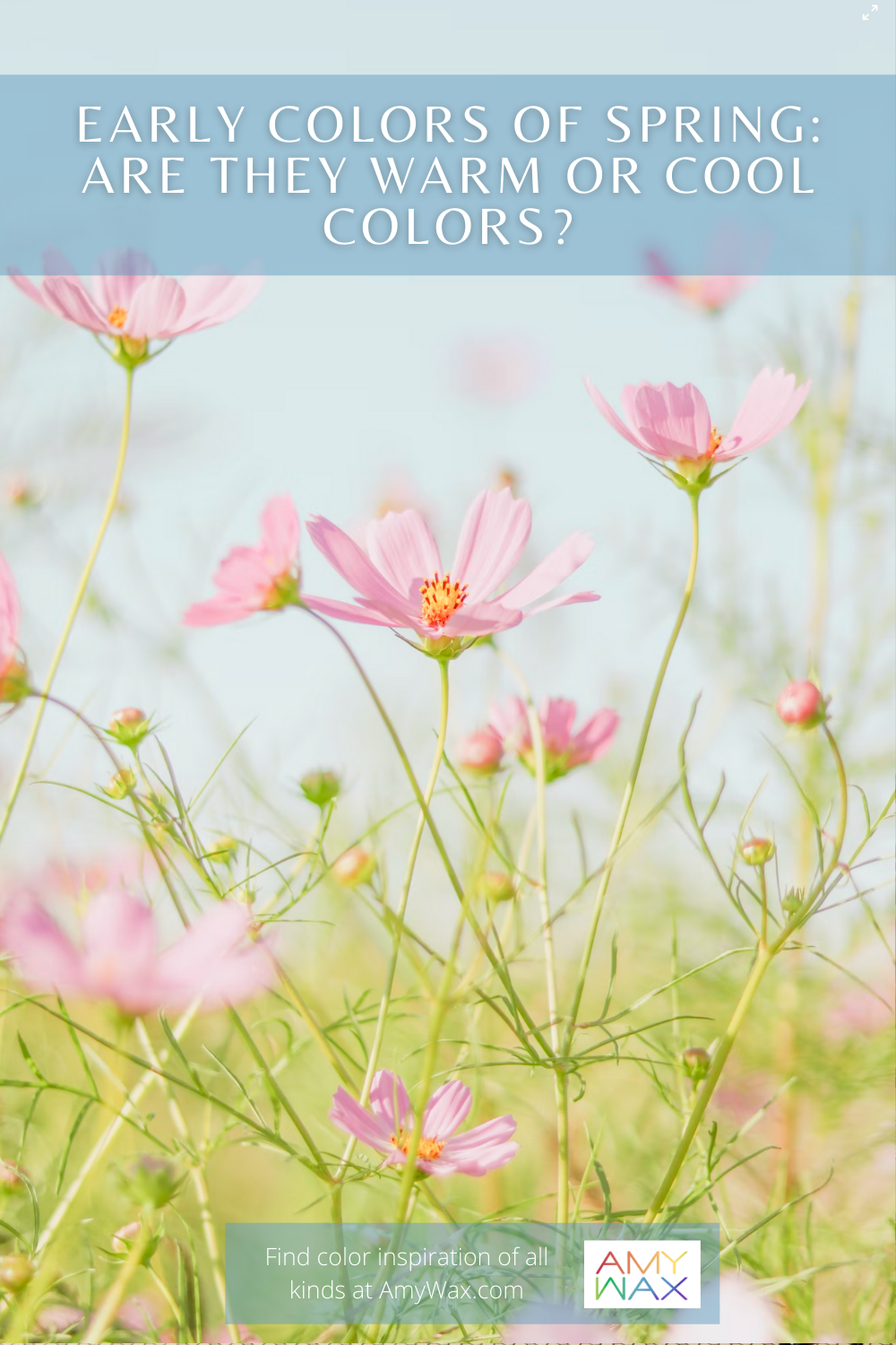 Early Colors of Spring: Are They Warm or Cool Colors? - Amy Wax
