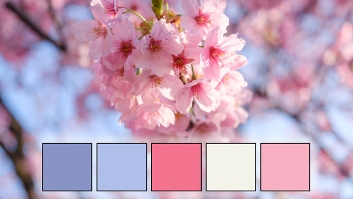 May Colors - Spring’s “Coming Out” Party! - Amy Wax