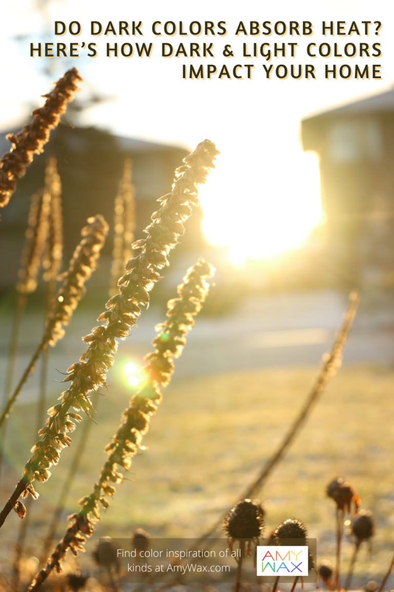 Do Dark Colors Absorb Heat? Amy Wax | Color Expert