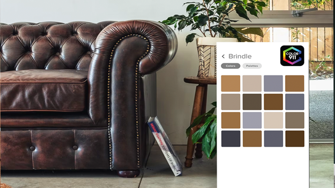 Color Inspiration for Leather Colors and Design - Amy Wax
