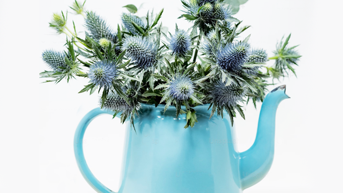 October Colors; from Classics to Unique Ideas! - Amy Wax