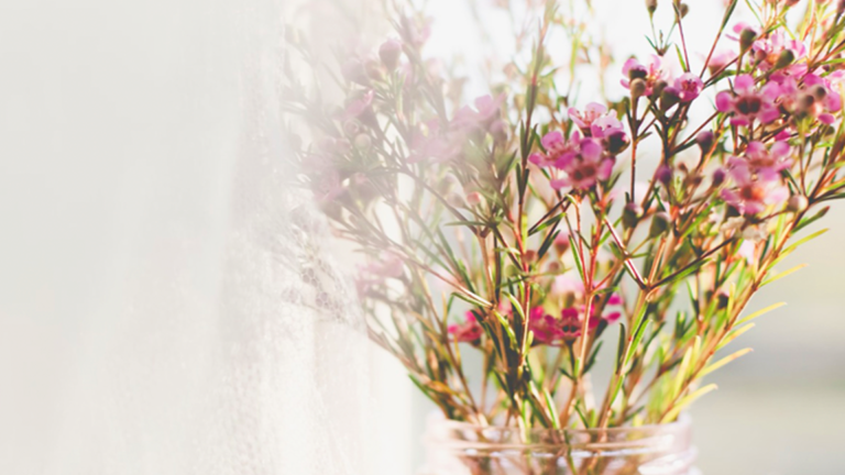 March Colors: Nature's Sweetest Color Palette! - Amy Wax - Color Specialist